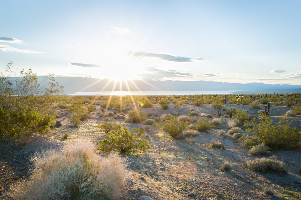 Fine Art Photos | Death Valley National Park & Mojave National Preserve