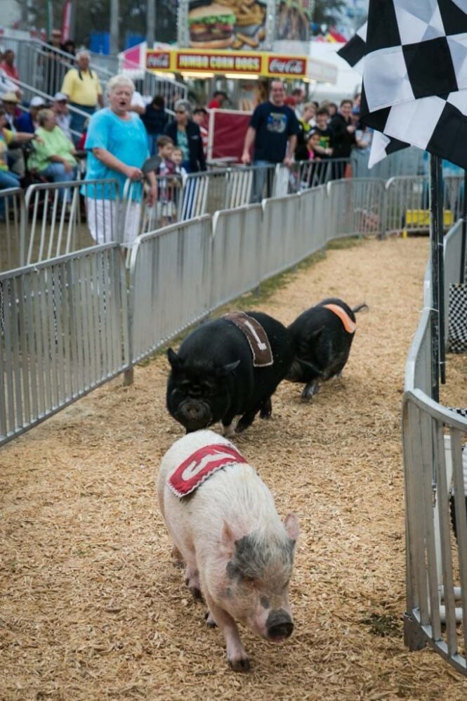 The Florida State Fair by NYC photojournalist, Kelly Williams
