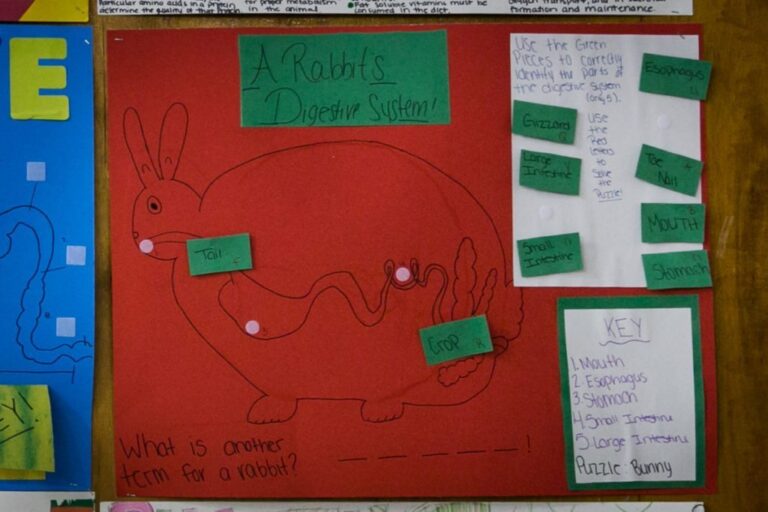 The Florida State Fair by NYC photojournalist, Kelly Williams