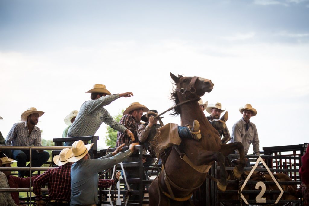 Bar W Rodeo in Clayton, GA | Kelly Williams, Photographer