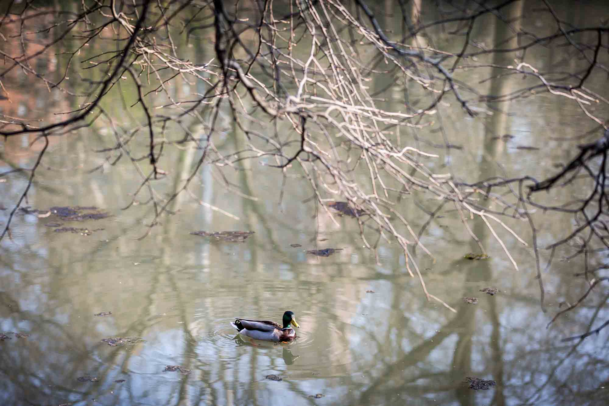 The Best Family Portrait Poses - Wedding & Family Photographer | Kelly ...