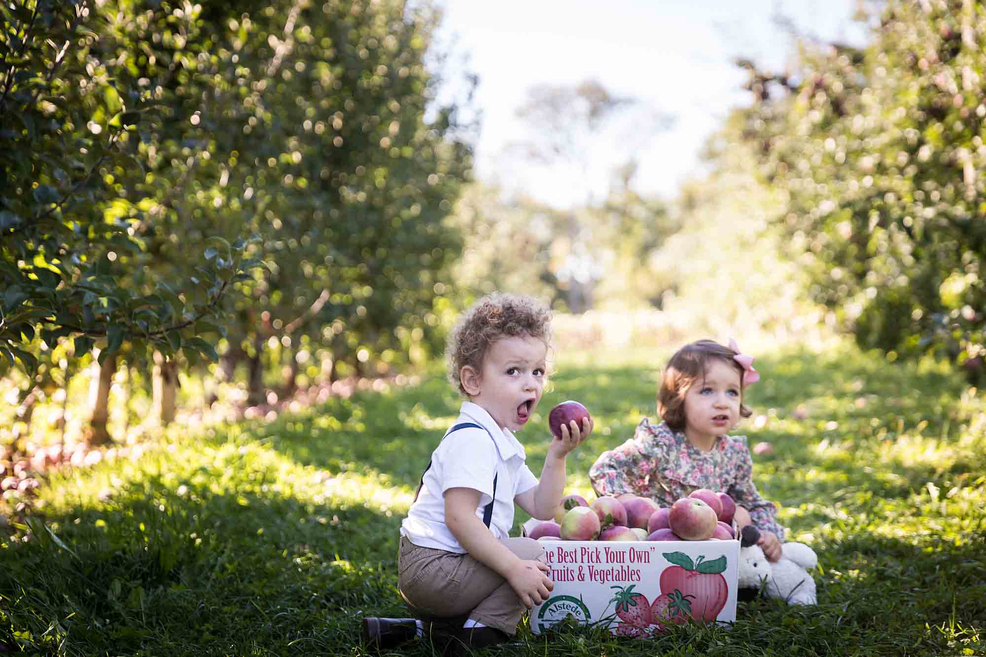 Kids Apple Picking