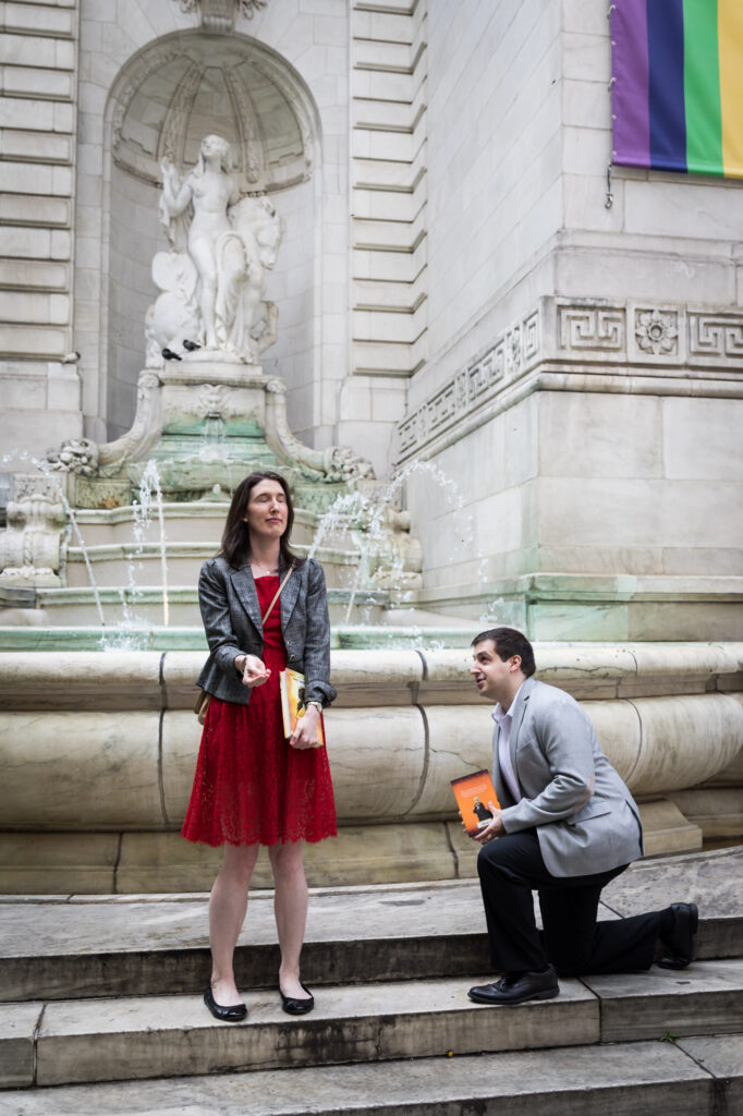 New York Public Library Proposal Tips