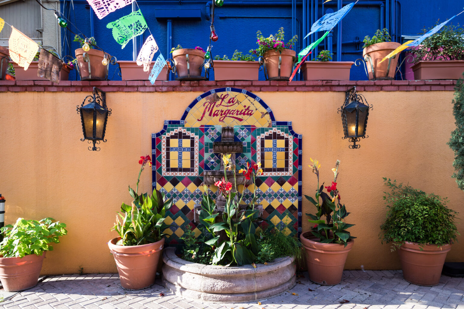 Secret San Antonio Photo Shoot Locations - Wedding & Family ...